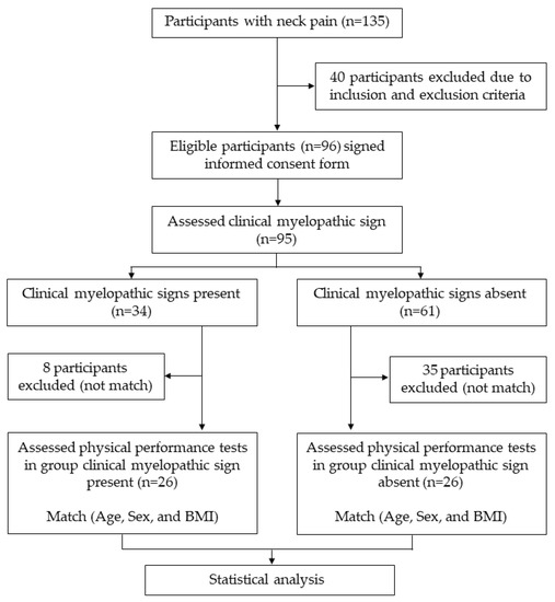IJERPH | Free Full-Text | Physical Performance Tests in Adult Neck Pain ...