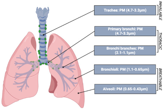 Importance of Punctual Monitoring to Evaluate the Health Effects of ...