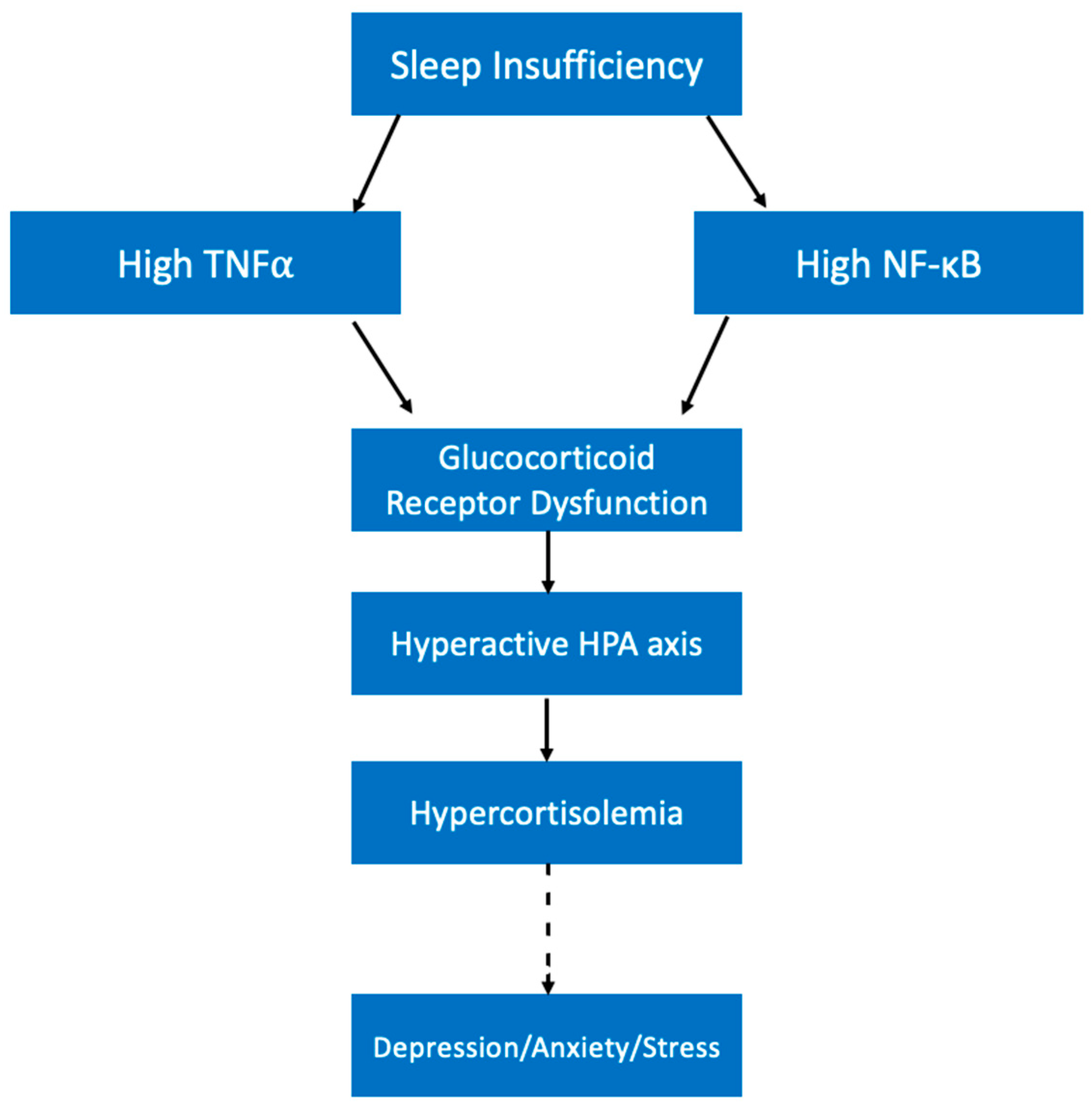 Ijerph Free Full Text Healthy Sleep Every Day Keeps The Doctor Away