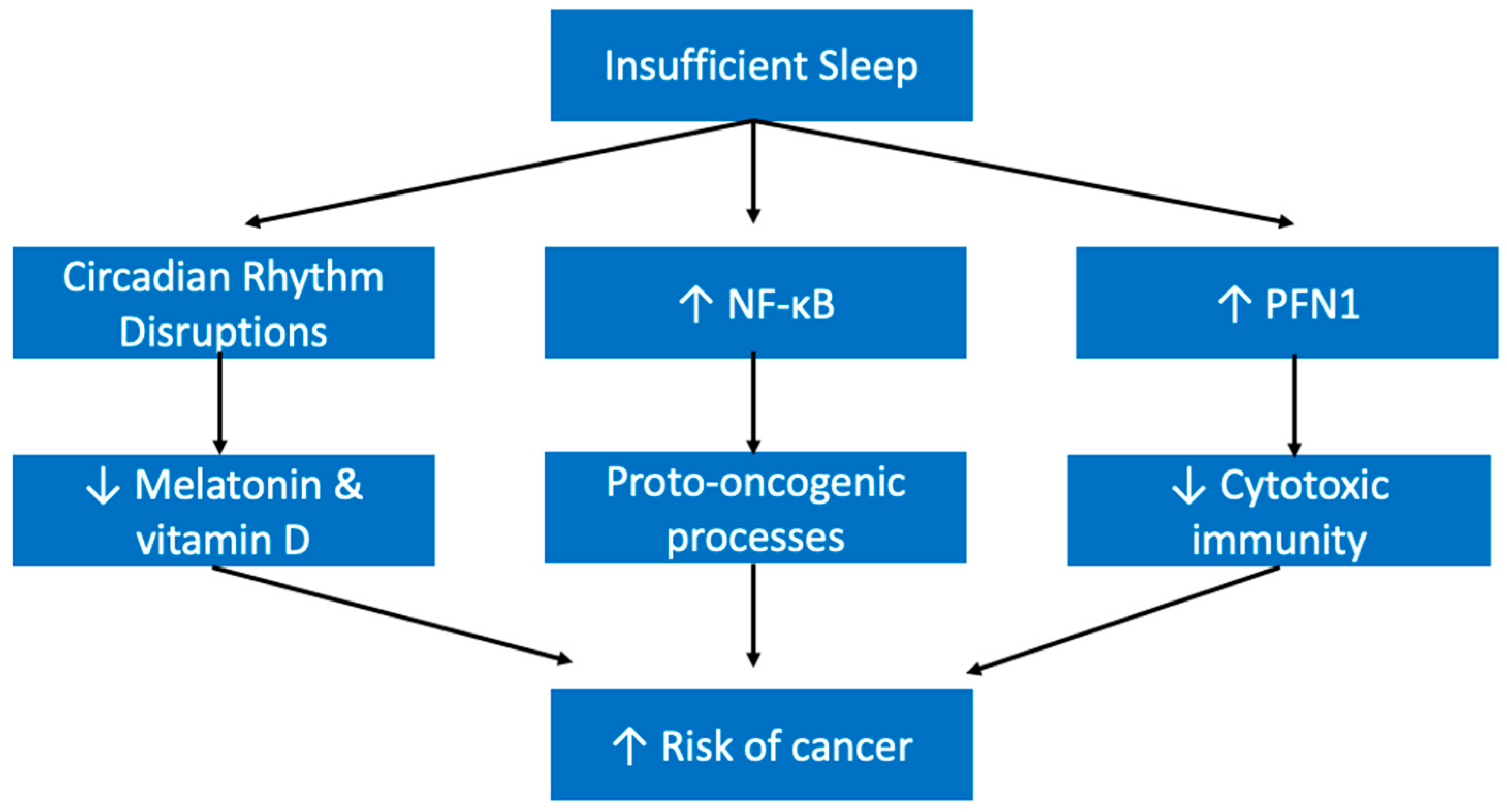 Ijerph Free Full Text Healthy Sleep Every Day Keeps The Doctor Away