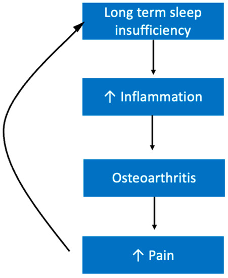 IJERPH | Free Full-Text | Healthy Sleep Every Day Keeps the Doctor Away