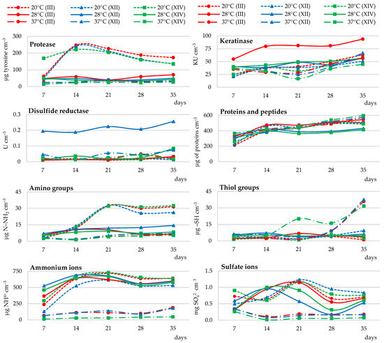 Optimization of Conditions for Feather Waste Biodegradation by ...