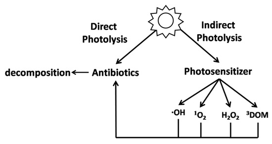 Current Progress in Natural Degradation and Enhanced Removal Techniques ...