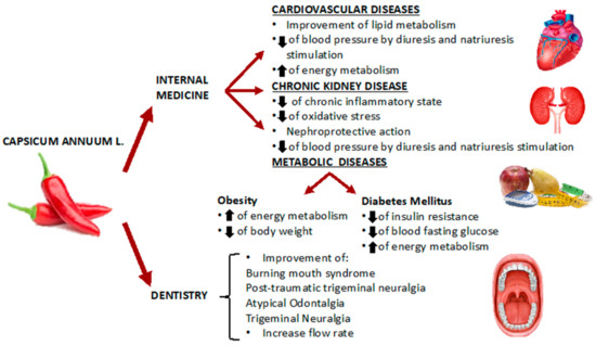IJERPH | Free Full-Text | The Utility of Capsicum annuum L. in Internal ...