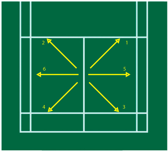 IJERPH | Free Full-Text | Analysis of Functional Arch Support Insoles on the Biomechanics and ...