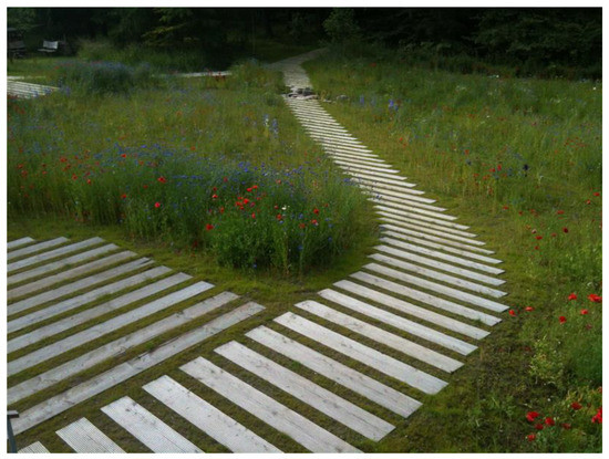 IJERPH | Free Full-Text | The Role of Courtyards within Acute Mental ...