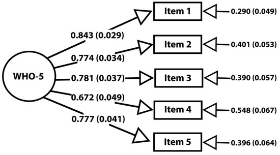 Validating the Five-Item World Health Organization Well-Being Index