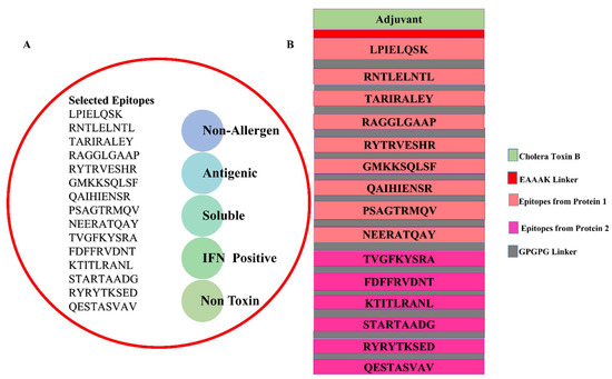 Pan-Genome-Assisted Computational Design of a Multi-Epitopes-Based ...