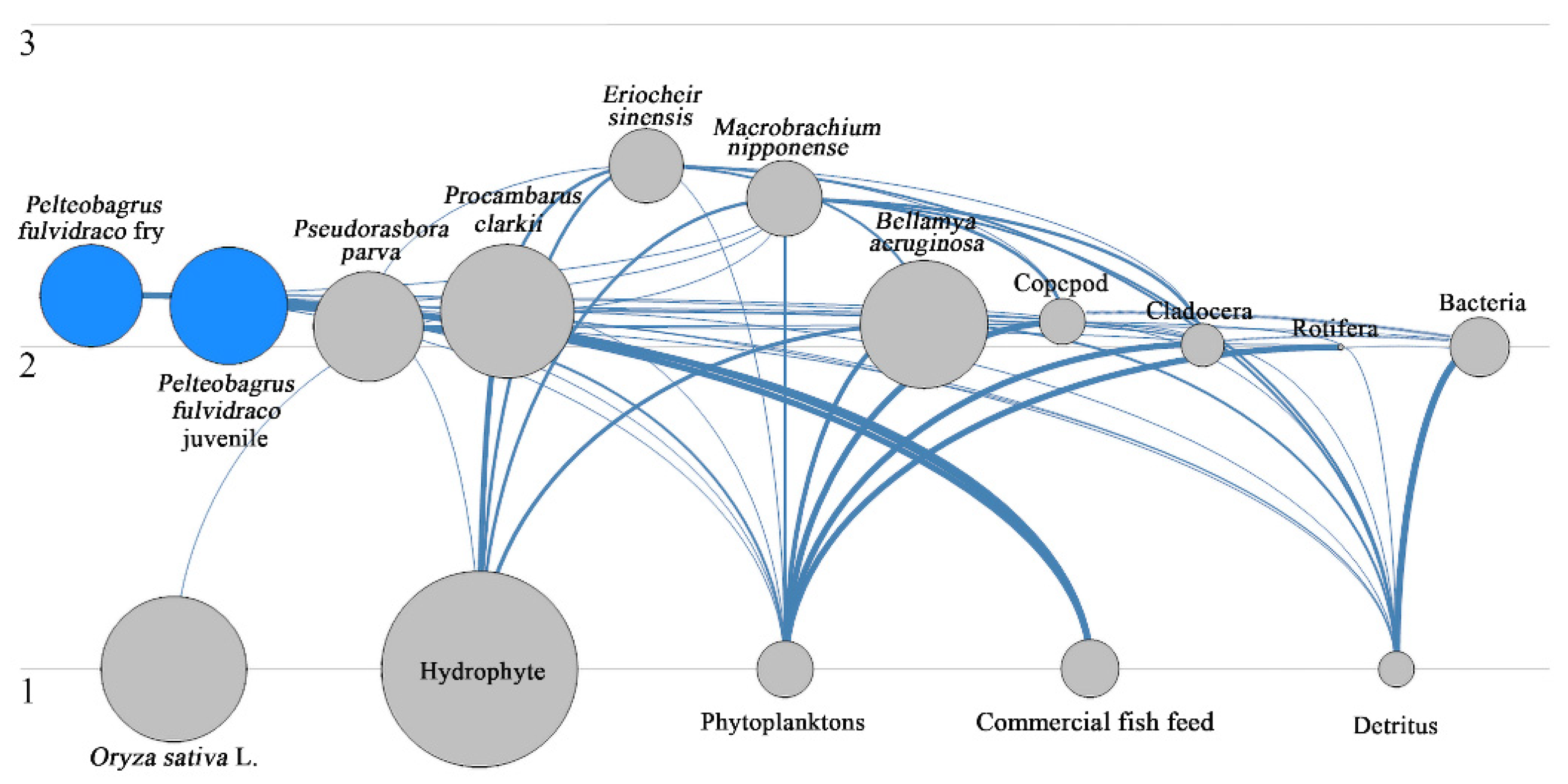 Evaluation of Trophic Structure and Energy Flow in a Pelteobagrus ...