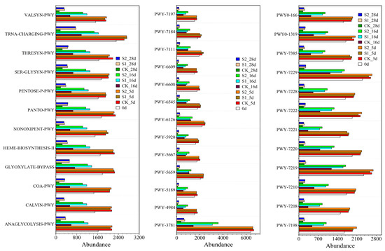 Effects of Regular Water Replenishment on Enzyme Activities and Fungal ...