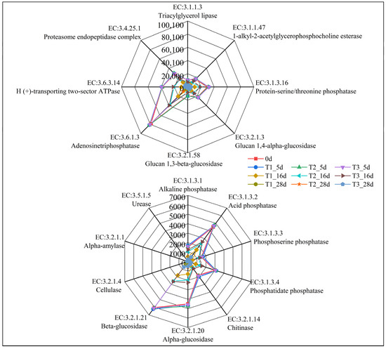Effects of Regular Water Replenishment on Enzyme Activities and Fungal ...