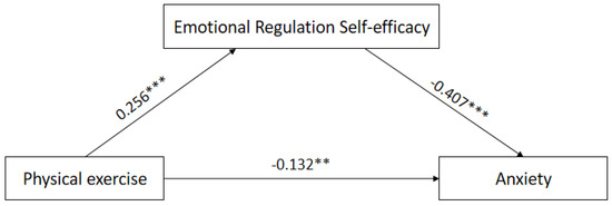 The Relationship between Physical Exercise and Negative Emotions in ...