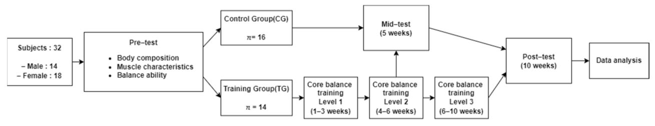 IJERPH | Free Full-Text | Effect of Core Balance Training on Muscle ...