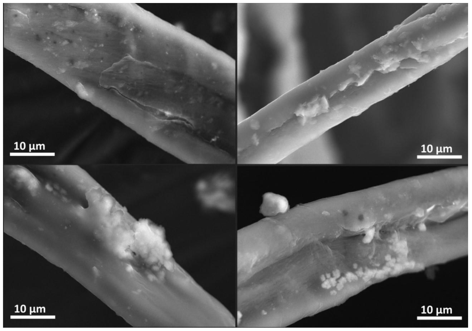 Airborne Microplastic in the Atmospheric Deposition and How to Identify ...