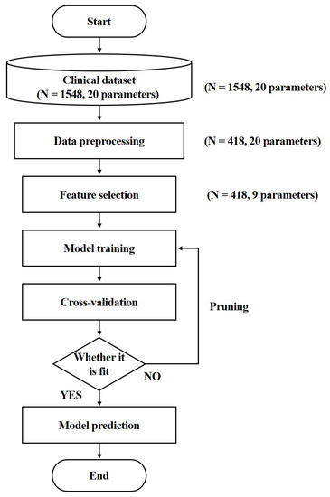 IJERPH | Free Full-Text | Decision Tree-Based Foot Orthosis ...