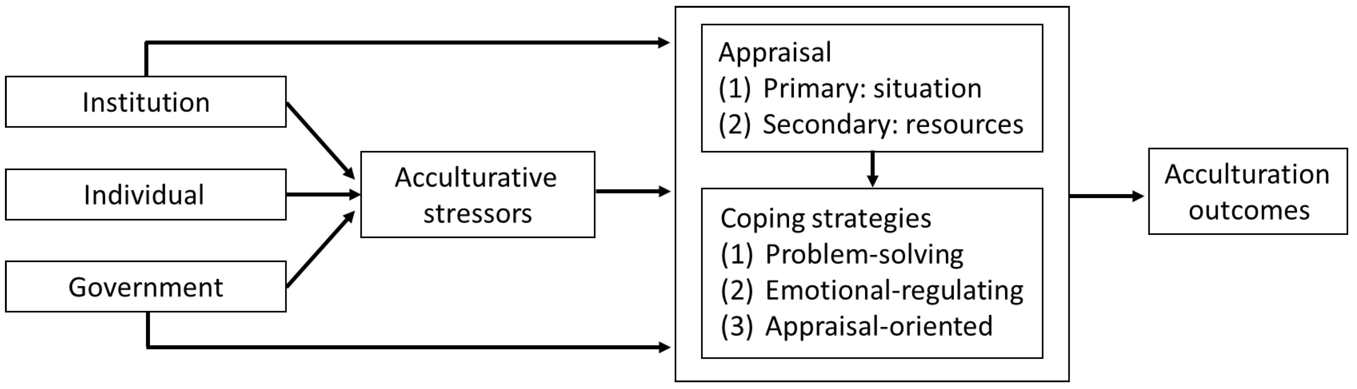 Acculturation Process
