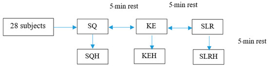Quadriceps Electromyographic Activity in Closed and Open Kinetic-Chain ...