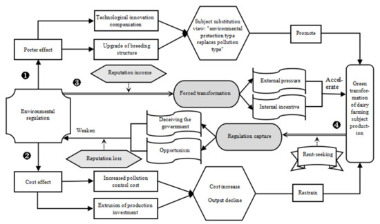IJERPH | Free Full-Text | “Forced Transformation” or “Regulation ...