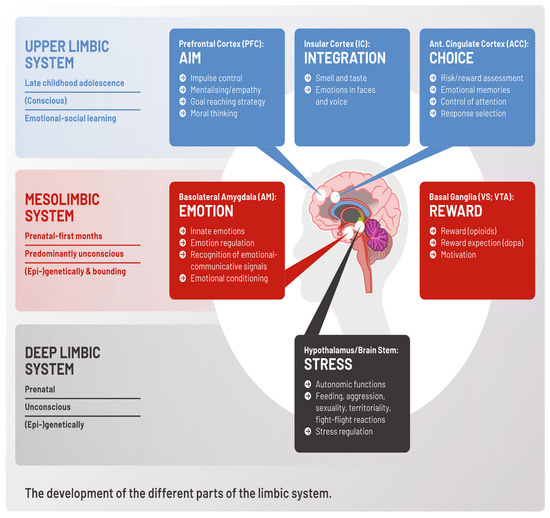Developmental Delays in Socio-Emotional Brain Functions in Persons with ...