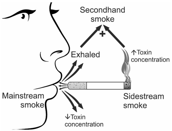 Public Health Burden of Secondhand Smoking: Case Reports of Lung Cancer ...