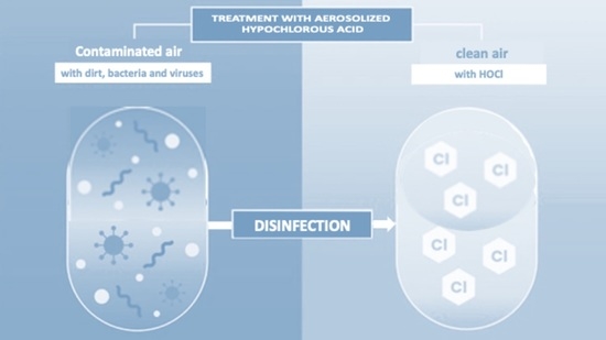 IJERPH | Free Full-Text | The Lesson Learned from the COVID-19 Pandemic ...