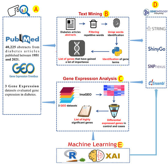 Decoding Diabetes Biomarkers and Related Molecular Mechanisms by Using ...