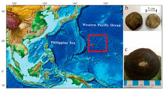 The Significance of Nanomineral Particles during the Growth Process of Polymetallic Nodules in ...