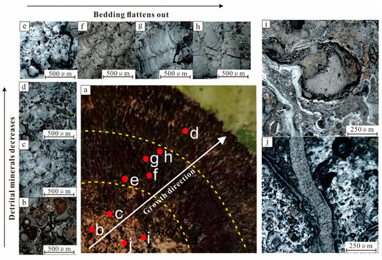 The Significance of Nanomineral Particles during the Growth Process of ...
