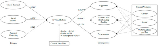 Drivers and Consequences of Short-Form Video (SFV) Addiction amongst ...