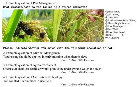 Knowledge and Farmers’ Adoption of Green Production Technologies: An ...