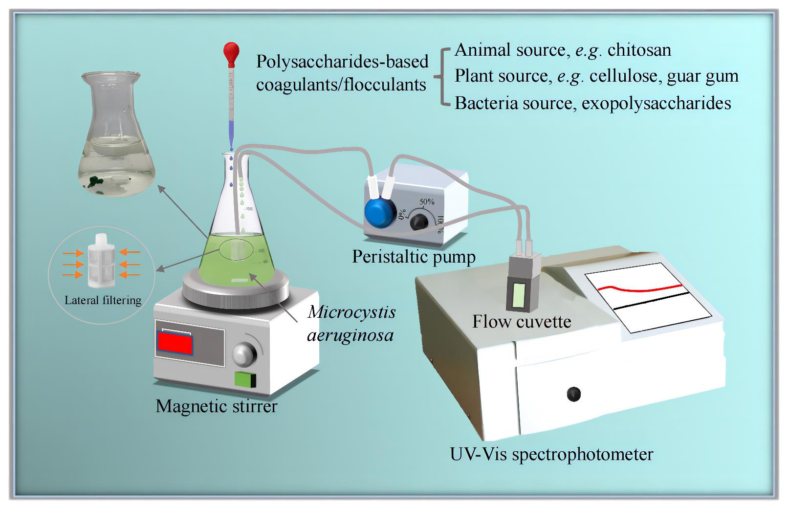 IJERPH | Free Full-Text | Time-Resolved Kinetic Measurement of ...