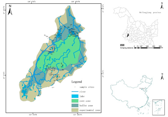 Phytoplankton Community Structure Dynamics in Relation to Water ...