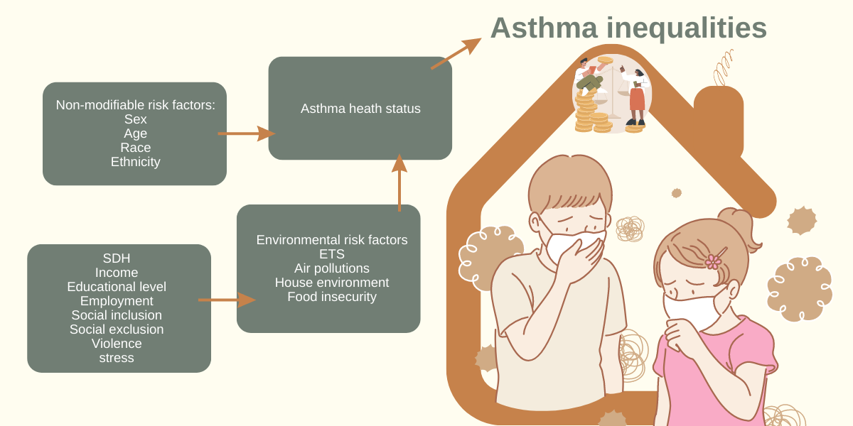 IJERPH | Free Full-Text | Social Inequalities: Do They Matter in Asthma ...