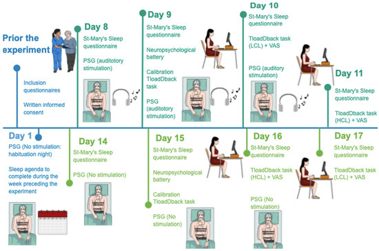 Impact of Sleep Fragmentation on Cognition and Fatigue