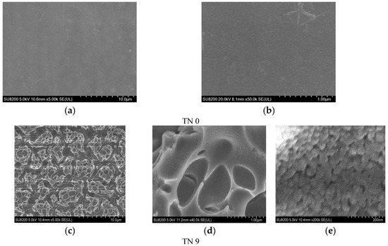 The Preparation of N-Doped Titanium Dioxide Films and Their Degradation ...