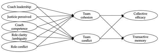 IJERPH | Free Full-Text | Using the Conceptual Framework for Examining ...