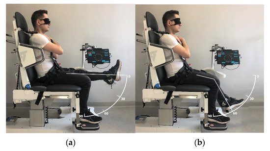 A Reliability of Active and Passive Knee Joint Position Sense ...