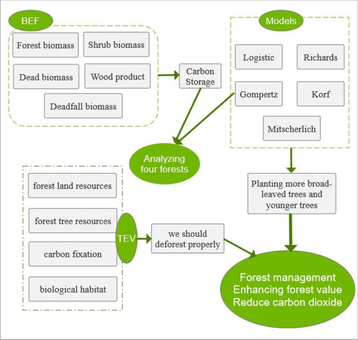 IJERPH | Free Full-Text | Forest Carbon Reserve Calculation and ...