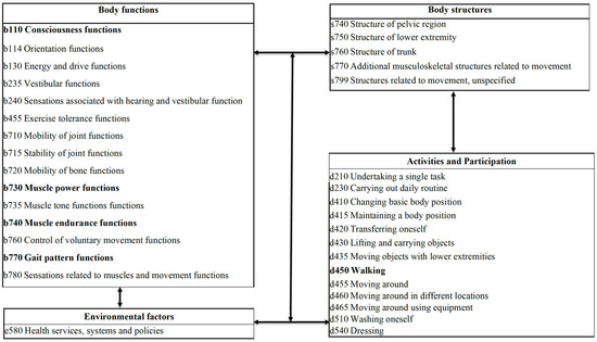 IJERPH | Free Full-Text | Delphi-Based Consensus to Determine Core ...