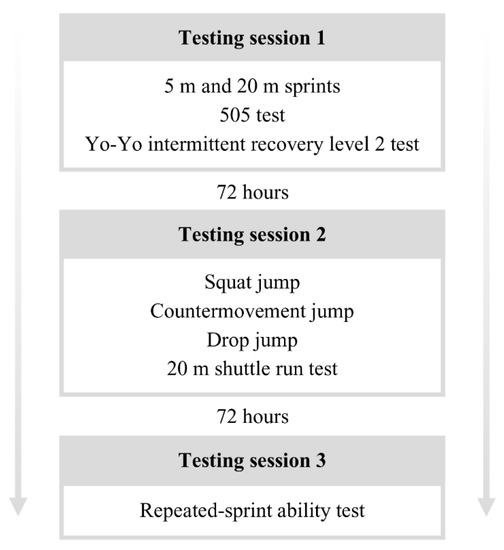 The Three-Level Model of Factors Contributing to High-Intensity ...