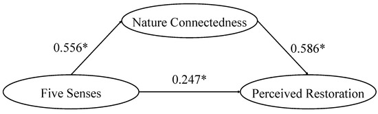 How Do Nature-Based Activities Benefit Essential Workers during the ...