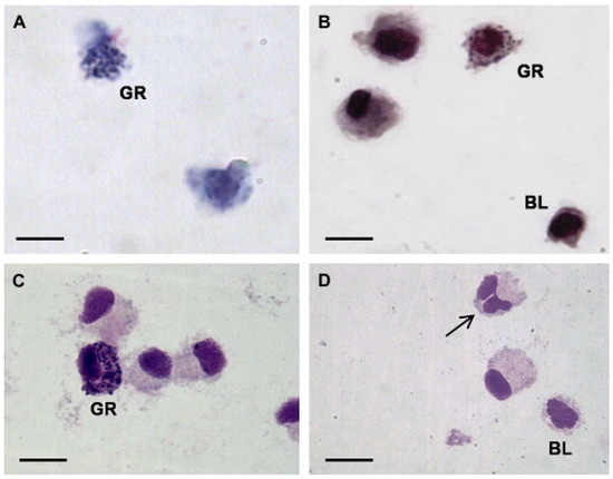 Hemocytes: A Useful Tool for Assessing the Toxicity of Microplastics ...