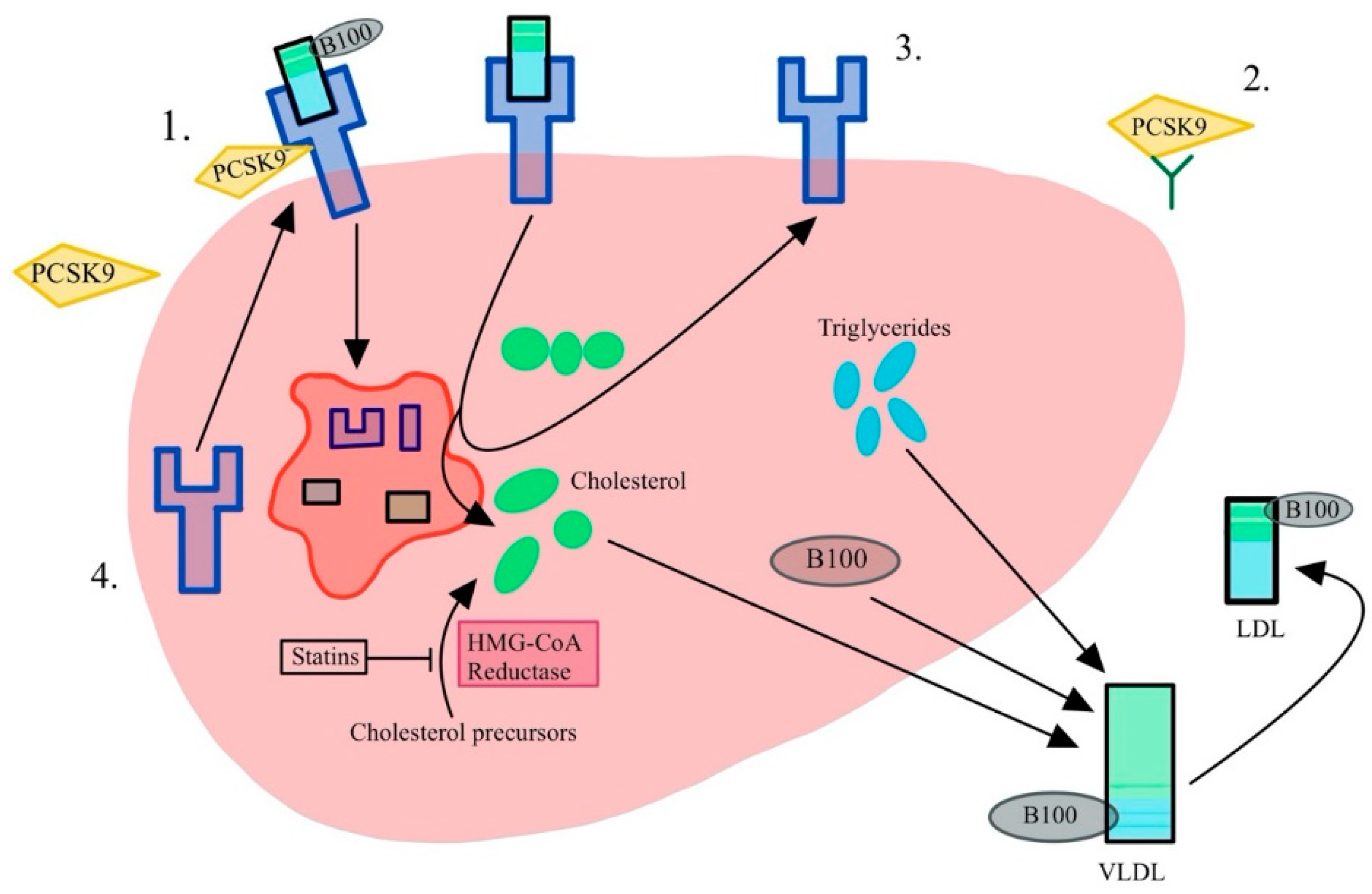 IJERPH | Free Full-Text | Is a PCSK9 Inhibitor Right for Your Patient? A Review of Treatment ...