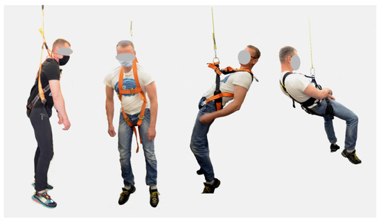 IJERPH | Free Full-Text | Effects of Safety Harnesses Protecting ...