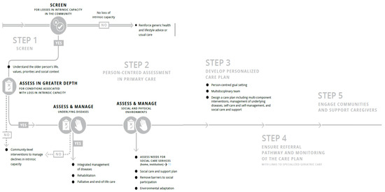 The World Health Organization (WHO) Integrated Care for Older People ...