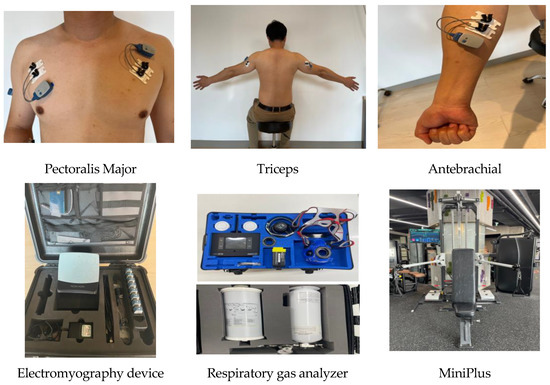 Effects of 8-Week Electromyostimulation Training on Upper-Limb Muscle ...