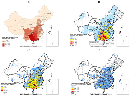 A Descriptive Analysis of Human Rabies in Mainland China, 2005–2020