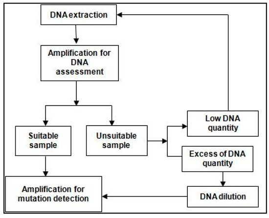 Mutational Analysis of EGFR Mutations in Non-Small Cell Lung Carcinoma ...