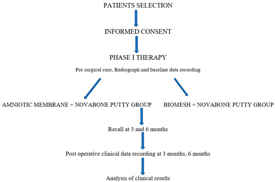 Effect of Amnioguard and Biomesh GTR Membranes with Novabone Putty in ...