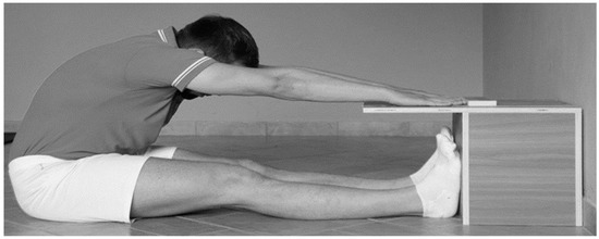 Self-Myofascial Release of the Foot Plantar Surface: The Effects of a ...